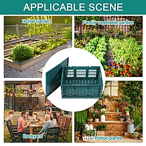 Tioncy In Ground Worm Composter 9 Gallon Outdoor Farm Foldable Compost Bin with Lid for Raised Garden Beds Home Composting System