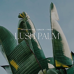 Antica Farmacista Scented Candle, Lush Palm, 9 Ounce