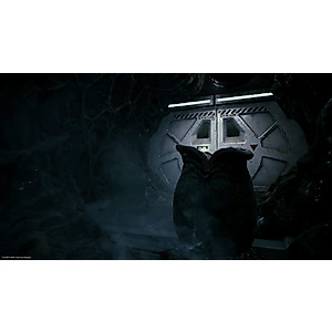 FOCUS ALIENS: FIRETEAM ELITE