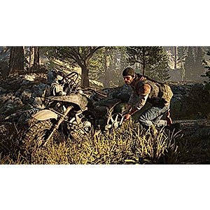 Days Gone - Playstation 4