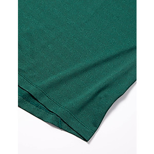 Salomon Men's Standard T-Shirt (Short Sleeve), Pacific, L