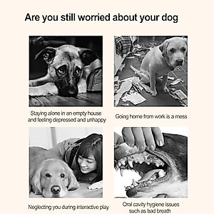 FINLALO Rubber Dog Toys, Pet Supply Outdoor Dog Ring Toy, Chew Toy Supports Dog Dental Health, Puppy Teething Toys for Small Medium Dogs (Blue)