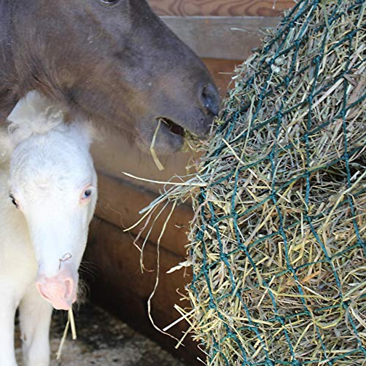 Derby Originals 48" Eager Feeder Slow Feed Hay Net