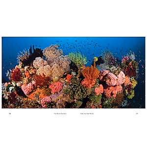 The World Beneath: The Life and Times of Unknown Sea Creatures and Coral Reefs