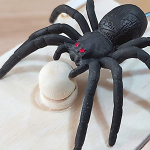 GIIOASA Fun Spider Money Surprise Box,Rubber Spider Prank Box,Handcrafted Spider in a Box Prank