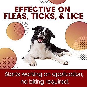 ZoGuard Plus Flea and Tick Prevention for Dogs (Large - 45-88 lb)