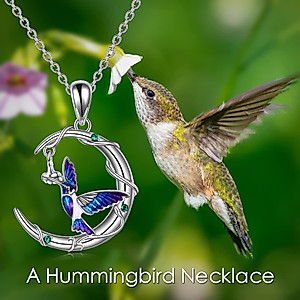 AOBOCO Sterling Silver Hummingbird Necklace Embellished with Crystals from Austria,hypoallergenic Pendant gifts, Anniversary Birthday Jewelry Gifts Present for Women (A Hummingbird Necklace)