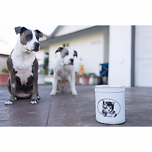 The PetSteel Antique White Treat Jar. Sturdy Treat or Food Storage Canister with Cute Cat Design.Tight Fitting Lids. Pet Food Container Fit's Up To 2lbs of Treats