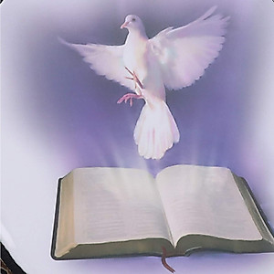 Double Row Jingle, Firm Tambourine Row Jingle, Durable Sacred Occasion for Relax Churches Entertainment(Bible dove)