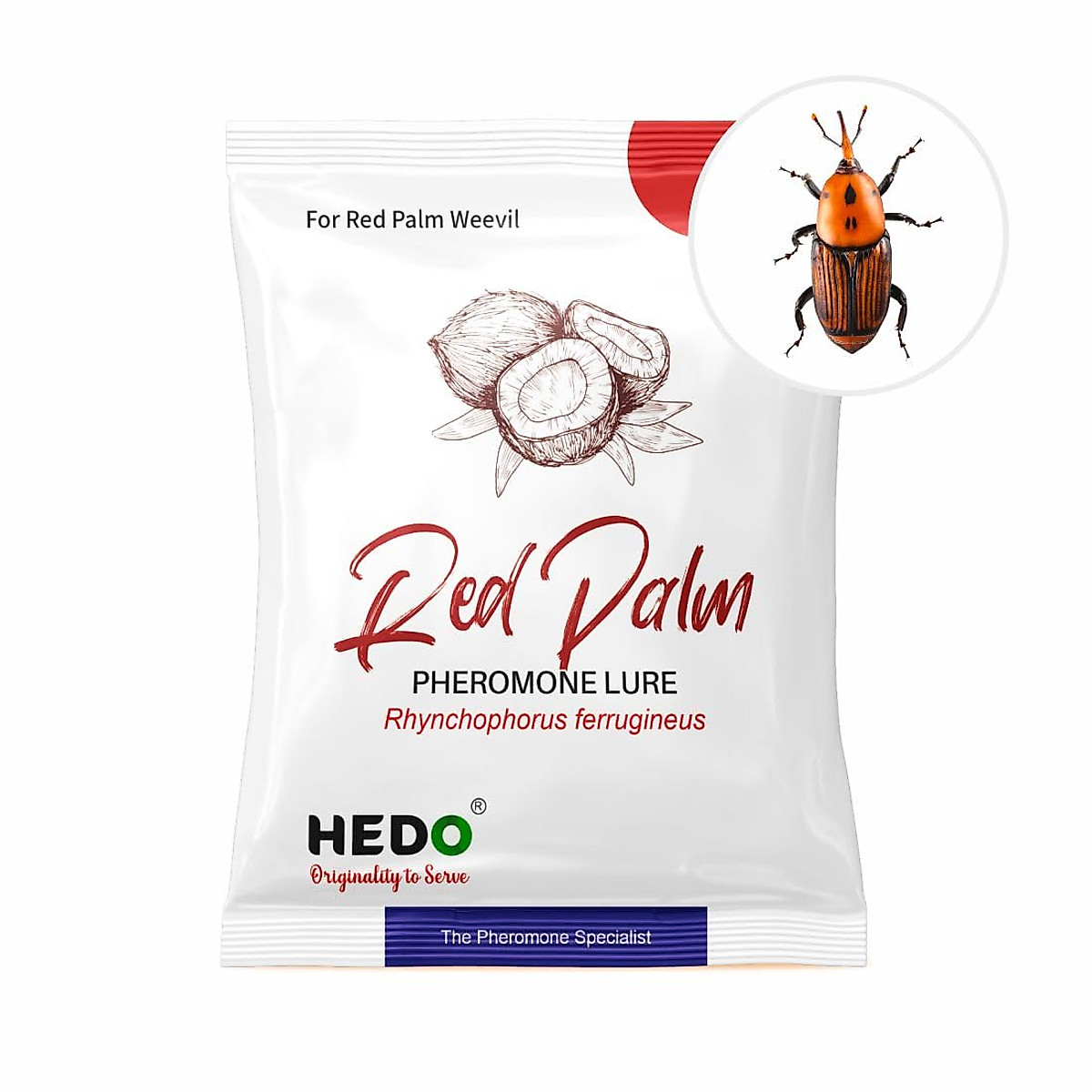 HEDO Red Palm Weevil Bucket Trap with Lure (Rhynchophorus ferrugineus) Pack of 5 to Control Damage in Coconut