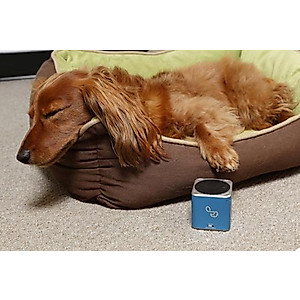 Pet Acoustics Canine Calm Music