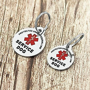 Engraved Service Dog Personalized with 4 Lines of Custom Engraved ID Stainless Steel Enameled Small