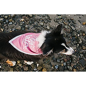 Everything Tailed Big Sister Dog Bandana for Pregnancy Announcement, Handkerchief and/or Scarf Accessory for Dog, Warm Pink Color, Fits Medium to Large Dogs, Gender Reveal Prop for Expecting Mothers