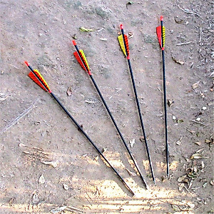 Letszhu Hunting Archery Carbon Arrow, Target Practice Arrow 500 Spine Fletched 4 inch Real Feathers with Field Points for Compound Recurve Longbow (Pack of 6) (29 inch)