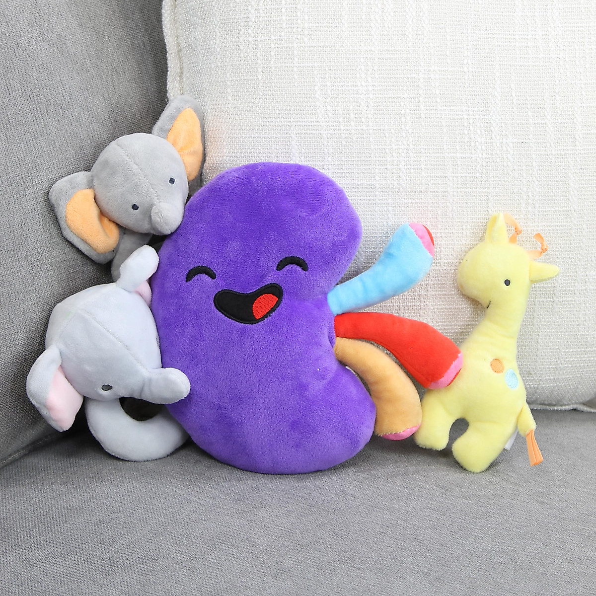 Attatoy Plush Kidney, Stuffed Body Organ Toy for Get Well Gift, Health Education and More