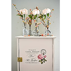 Rust-Oleum 350457 Specialty Photo Transfer Medium, 8oz, Matte, 8 Ounce