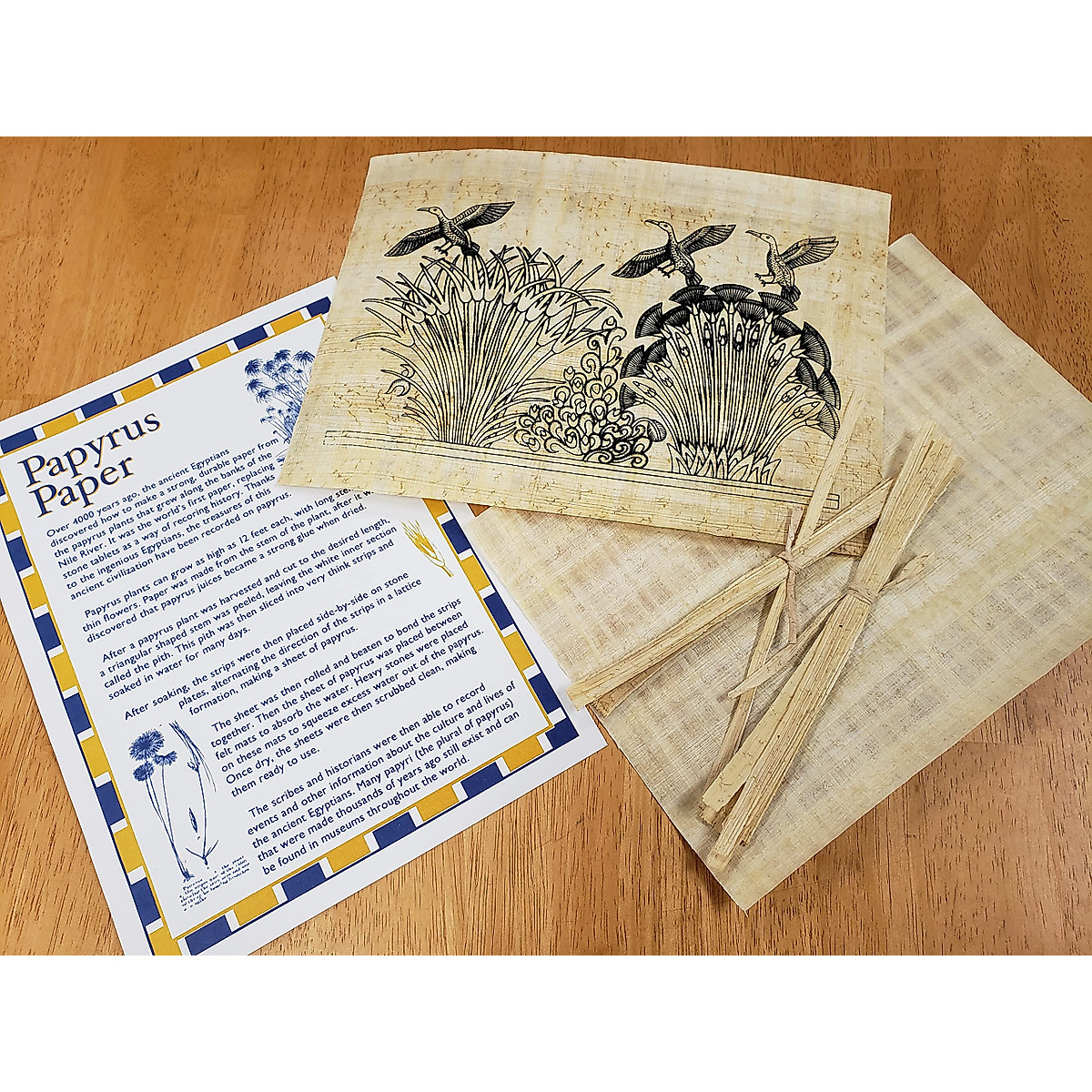 Discoveries Egyptian Imports Papyrus Activity Kit - Educational Papyrus Paper Craft Kit - Made in Egypt