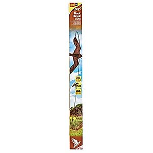 Defenders Hawk Kite (Humane Effective Bird Scarer for Buildings, Gardens, Crops)