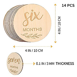Toyvian 1Set Baby Monthly Milestone Cards Wooden Discs Double Sided Milestone Cards, Newborn Photography Props
