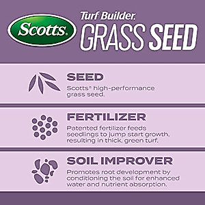 Scotts Turf Builder Grass Seed Perennial Ryegrass Mix with Fertilizer and Soil Improver, Establishes Quickly, 2.4 lbs.