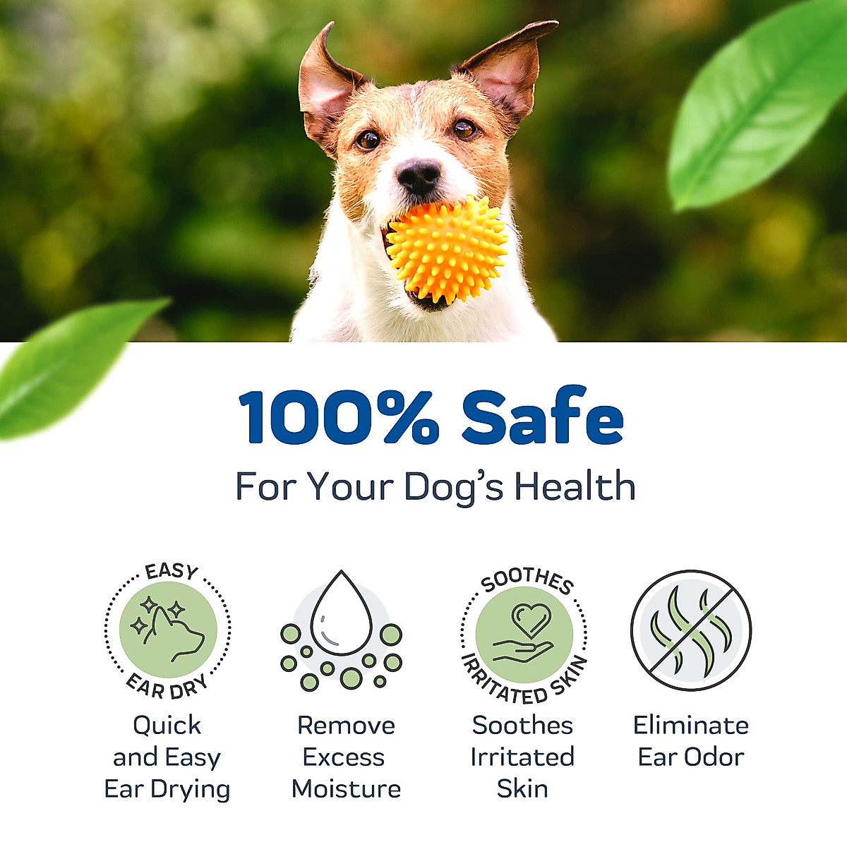 Innovet PurOtic Natural Ear Dryer for Dogs with Silicone Applicator - 4 oz Bottle - 100% Made in USA - Ear Dryer for Dogs