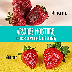 4-Set Fruit & Veggie Life Extender - 16x12 Inch - Foam Fridge Shelf Mat & Refrigerator Drawers Liner - Washable Pads - Extends Life of Produce & Prevents Spoilage - Keeps Food Fresh & Crispy