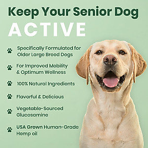 Vet Naturals Daily Senior Overall Wellness Joint Supplement for Dogs - All-in-One Dog Vitamins w Glucosamine for Dogs - 60ct Dog Hip and Joint Supplement - Grain-Free, Soy-Free, Rotisserie Chicken