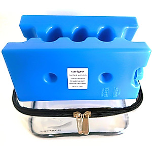 Ice Pack and Safety Case Set for Breastmilk Bags - carigro Brand - Insert for Breastmilk Cooler Bag (3 Items)