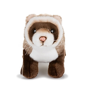 Wildlife Tree 12 Inch Stuffed Black-Footed Ferret Plush Animal Kingdom Collection