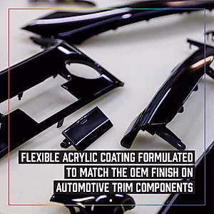 Seymour 20-1678 PBE Professional Trim Spray Paint, Flat Black