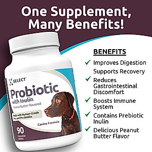 K9 Select Probiotic for Dogs, with Inulin - 90 Chewable Tablets - Supports Healthy Digestion and Nutrient Absorption - Dog Probiotics and Digestive Enzymes - Probiotics for Dogs Digestive Health