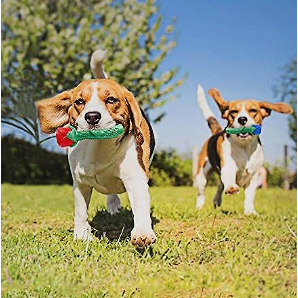 Blingbrione Dog Chew Toys for Large Breed Aggressive Chewers, Puppy Durable Rose Rubber Teething Toys for Small/Medium Dog, Tough Toys for Training and Cleaning, Interactive Dog Valentine's Day Gift