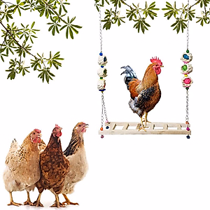 AFXOBO 4Pcs Bird Chicken Pet Toy Net Bag Swing Chewing Pet Toy Chicken Bird Cage Accessories *TUQ0073