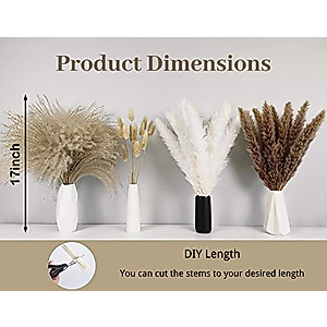 Pampas Grass Boho Home Decor, 75Pcs Natural Dried Carefully Hand-Picked Fluffy Pompas Grass 17", White & Brown Pampas Grass, Reed, Bunny Tails for Flower Arrangements Boho Wedding Home Décor
