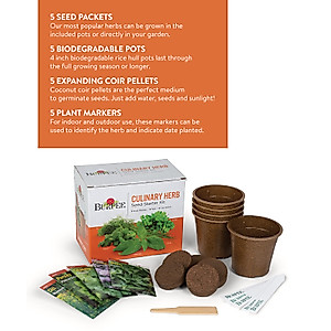 Burpee Culinary Garden Starter Kit Packets, 5 Pots, 5 Coir Pellets & 5 Plant Markers Non-GMO Herb Seeds: Cilantro, Dill, Parsley, Sweet Basil & Chives