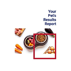 AffinityDNA Dog Intolerance Test for 200 Food and Non-Food Allergens | Home Sample Collection Kit for 1 Canine | Results in 5 Working Days | A Complete Allergy Kit with No Extra Fees