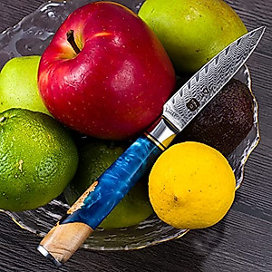 Dnifo Classic Paring Knife 3.5 Inch, Damascus Steel Japanese Knife - Sharp fruit knife for Peeling, Cutting, and Slicing - Non-stick Blade and Anti-rusting Forged Cutlery Knife