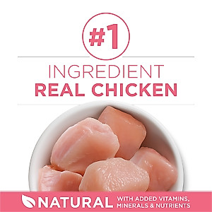 Purina ONE High Protein, Natural Dry Kitten Food, +Plus Healthy Kitten Formula - 16 lb. Bag