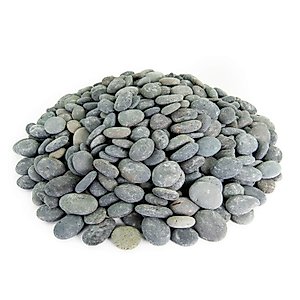 Mexican Beach Pebbles | 20 Pounds of Smooth Unpolished Stones | Hand-Picked, Premium Pebbles for Garden and Landscape Design | Black Buttons, 1/2 Inch - 1 Inch