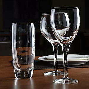 Luigi Bormioli Set of 4 Michelangelo Masterpiece 14.5-Oz. Beverage Glasses
