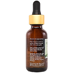 The Postman's Son - WHISTLE PUNK - Crafted Beard Oil - 1 fl oz