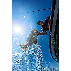 Rapala Dives-To 14 Fishing lure, Baby Bass, 2.75-Inch