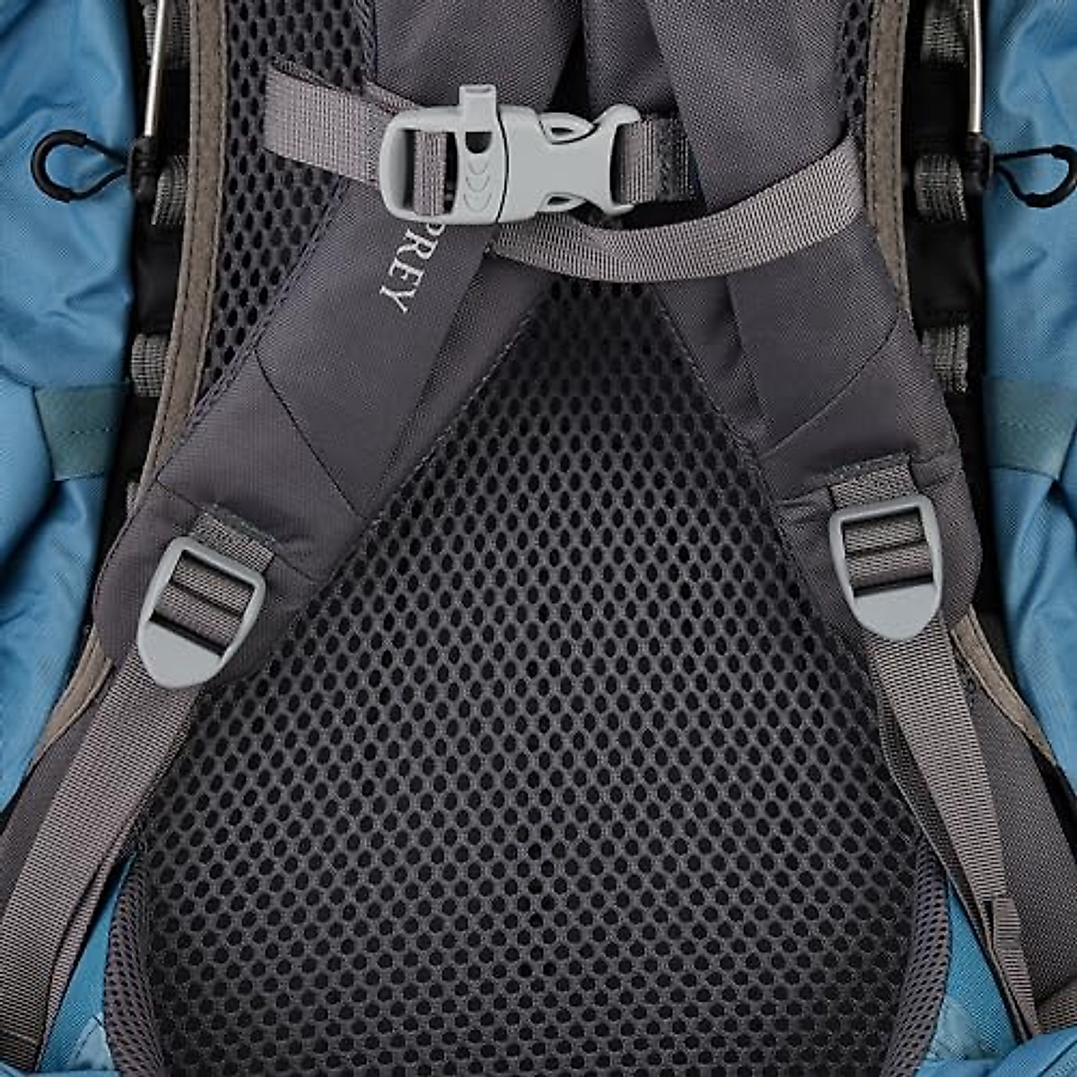 Osprey Renn 65L Women's Backpacking Backpack, Challenger Blue