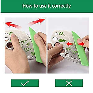 Dulcicasa Zester Grater for lemon & 2Pcs Herb Stripper Tool