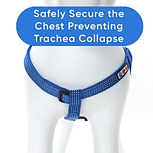 Pawtitas Reflective Step in Dog Harness or Reflective Vest Harness, Comfort Control, Training Walking of your Puppy/Dog Small Dog Harness S Blue Dog Harness