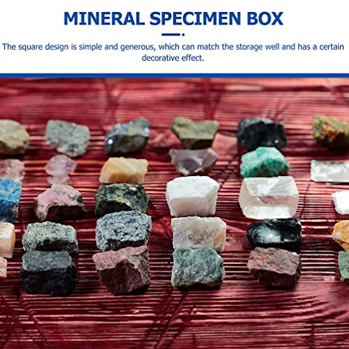 Cabilock Clear Specimen Display Cases 12pcs Plastic Mineral Specimen Storage Cases Square Sample Displaying Boxes Jewelry Organizer Tray