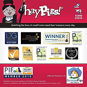 HAYPIGS 1x Circus Themed Guinea Pig Treat Ball - Guinea Pig Toys and Accessories - Rabbit Enrichment Toys Small Animal Toy - Small Pet Activity Ball - Pet Entertainment