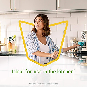 Raid Essentials Fly, Gnat, and Mosquito Killer Aerosol Spray, Safe for Use Around Children and Pets, 10 oz