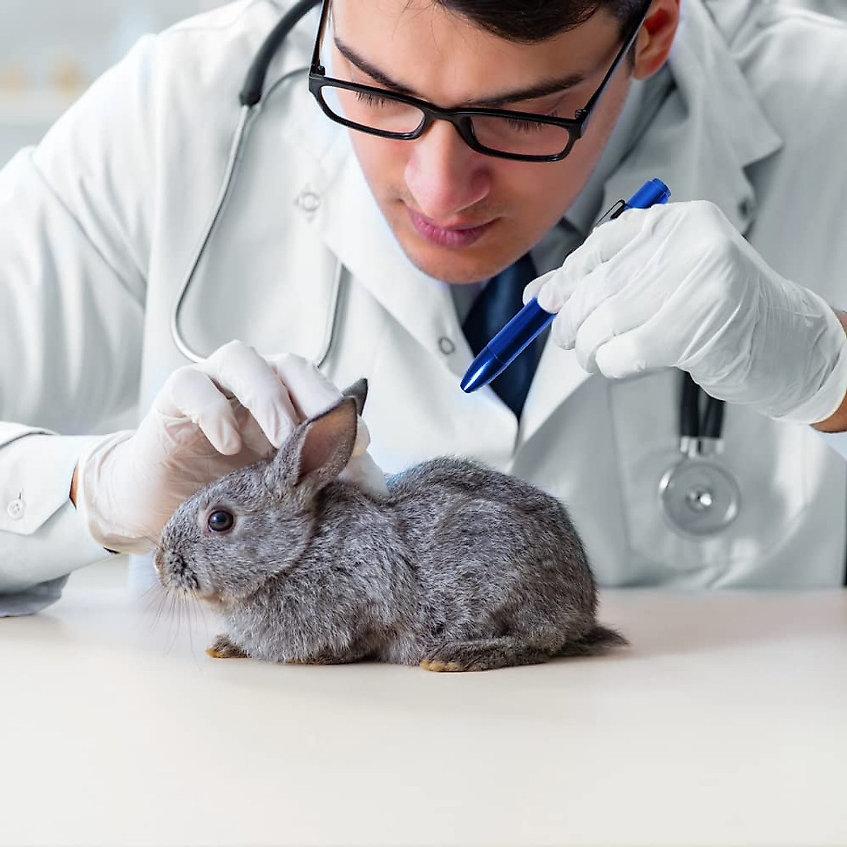 BV Medical LED Penlight, Metal, Push Button, Cobalt Blue