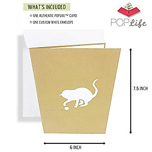 PopLife Cats Playing on Couch Pop Up Greeting Card 3D Pop Up Greeting Card - Cat Lover Card, Teacher Card, Funny Kids Card - Folds Flat for Mailing - Mothers Day Card, Birthday Card, Get Well Card